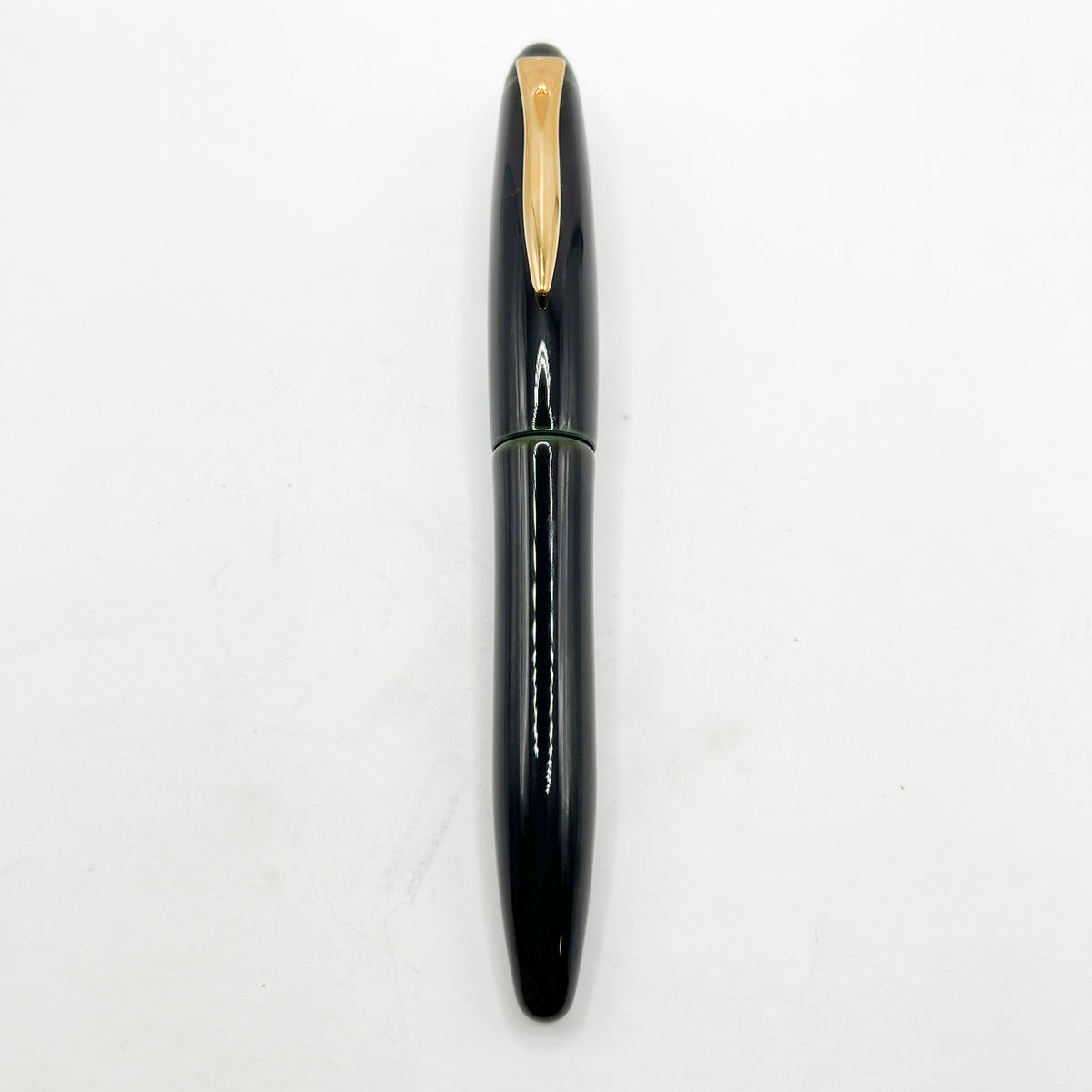 Platinum Izumo Urushi Oversized Fountain Pen - Sora (Dark Green) - Fin ...
